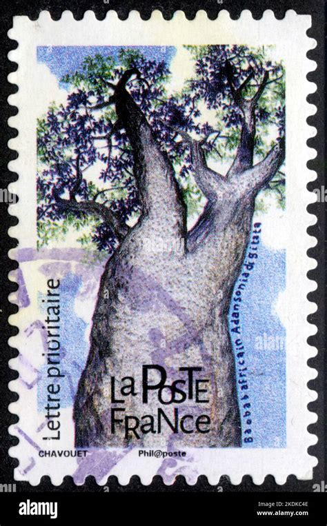 Timbre Oblitéré Baobab Africain Adansonia Di Gitata Lettre Prioritaire La Poste France Stock