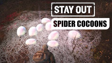 Stay Out Spider Cocoons Youtube