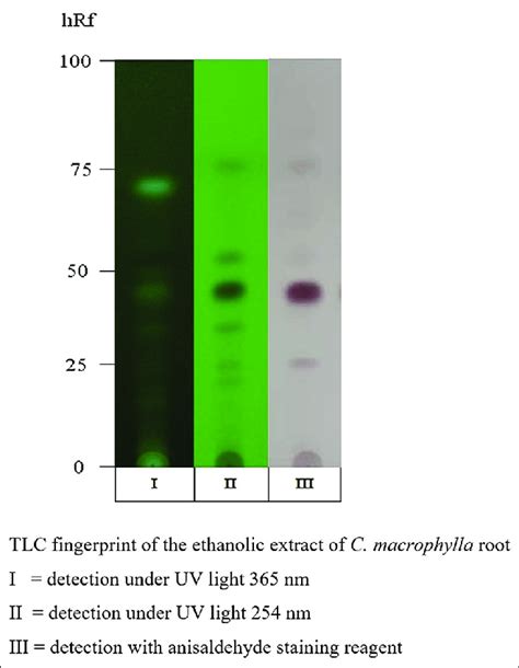Thin Layer Chromatography Fingerprint Of Ethanolic Extract Of Clitoria
