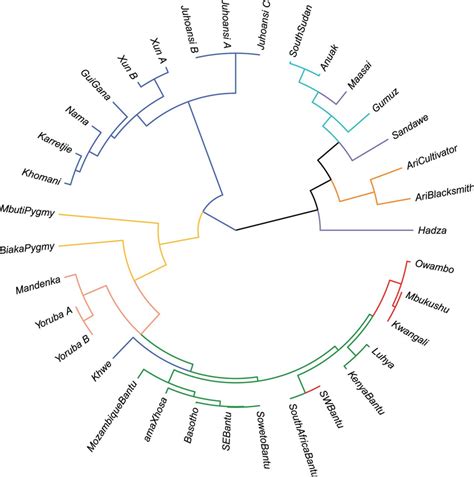 Hierarchical Population Tree Based On Pairwise Fst Values Color Of