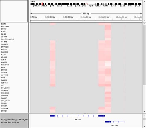 A Fast And Quantitative Method For Post Translational Modification And