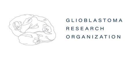 Michael J Berman Foundation Pickleball Tournament Campaign