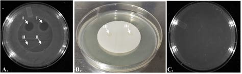 Membrane Overlay Method For Passive Diffusion Of Phagebacteria Through