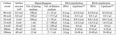 Transfection Protocol Genemedi