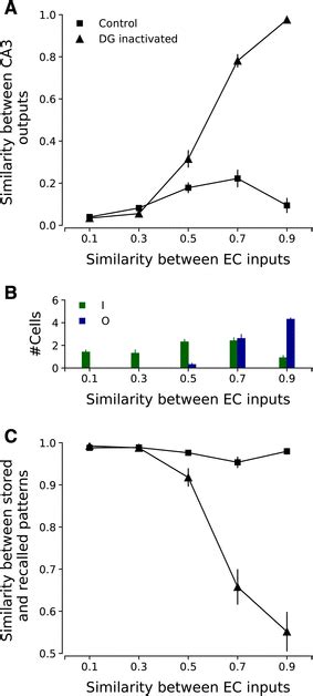 model results from the simulation of the spatial pattern separation