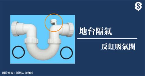【隔氣種類】圖例分析u型p型樽型分別｜安裝常見問題 ｜千居spacious
