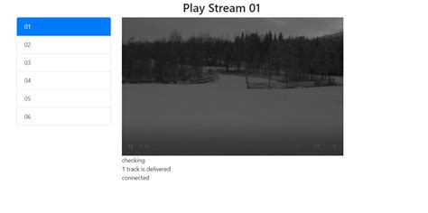 Go 接收 Rtsp 即時影像 Nalson