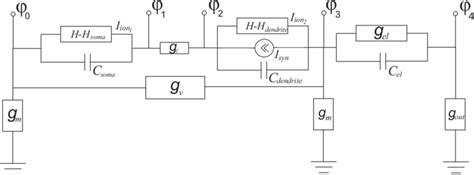 The Equivalent Electrical Scheme Of Two Compartment Neuron Download