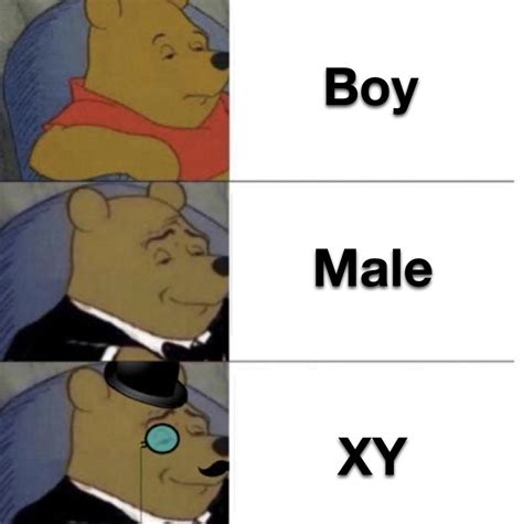 Dapper Winnie The Pooh Rmemes