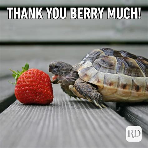 30 Funny Thank You Memes [2024] Shareable Thank You Memes