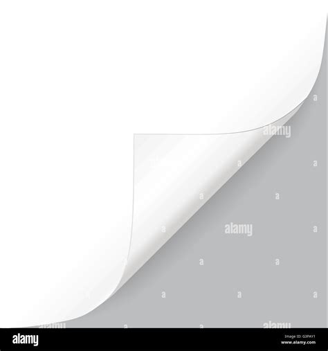White Paper Corner Stock Vector Image And Art Alamy