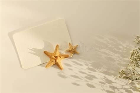 Empty Blank Texture Paper Card With Starfish And Gypsophila Flower With