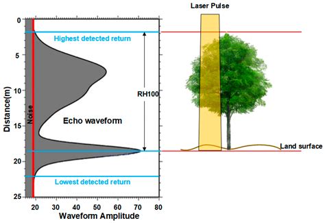 Estimating Forest Canopy Height Using Modis Brdf Data Emphasizing Typical Angle Reflectances