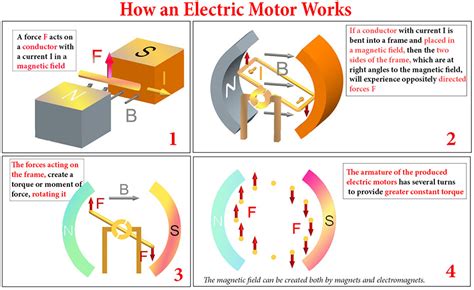 Write The Working Principle Of Electric Motor With Labelled Diagram - Infoupdate.org