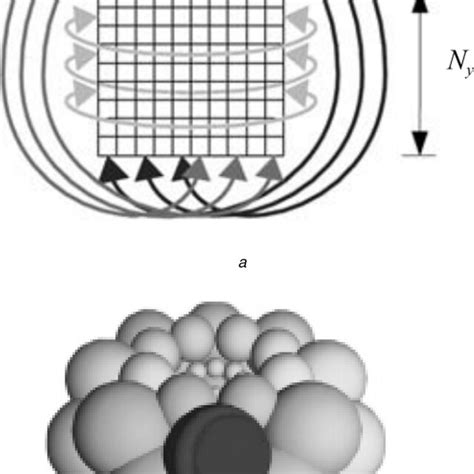 Schematic Diagram Of Trisynaptic Pathway Download Scientific Diagram