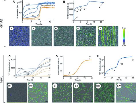 Transition From Sigmoidal To Biphasic Growth Kinetics Upon Oligomer Download Scientific Diagram