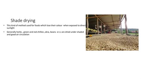 Preservation By Drying Pptx