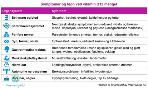 B Vitaminmangel Symptomer Tegn årsager Og Behandling Drekivikingdk