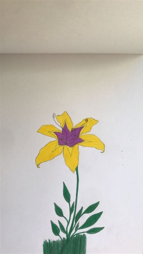 Rapunzel Flower Tangled Drawing