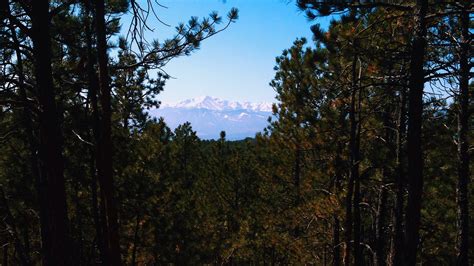The Vegetation Station — Craigtommola Mpdrolet Jaime Beechum