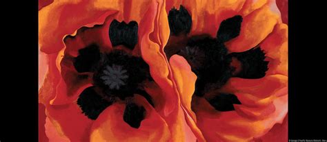 Georgia Okeeffe Poppies Georgia Okeeffes Red Poppy From Iconic