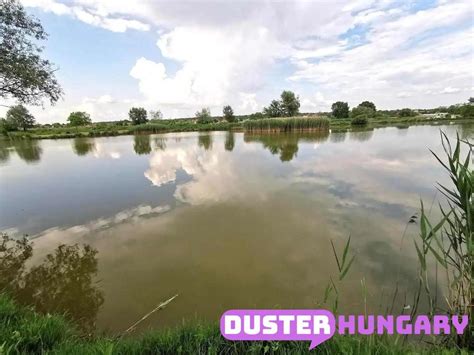 Ceglédberceli Tőzeg Tavak Várpalota Horgásztó Várpalota