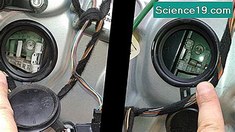 Kako Izgleda Okrugla Glista 💫 Znanstveno Popularni Multimedijalni Portal 2025