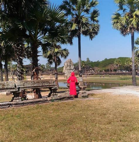 Image Processing With Python Color Isolation For Beginners Towards