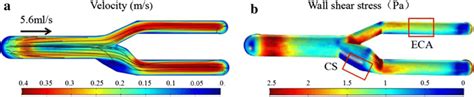 Computational Fluid Dynamics On The Tf Shaped Carotid Artery A Flow Download Scientific