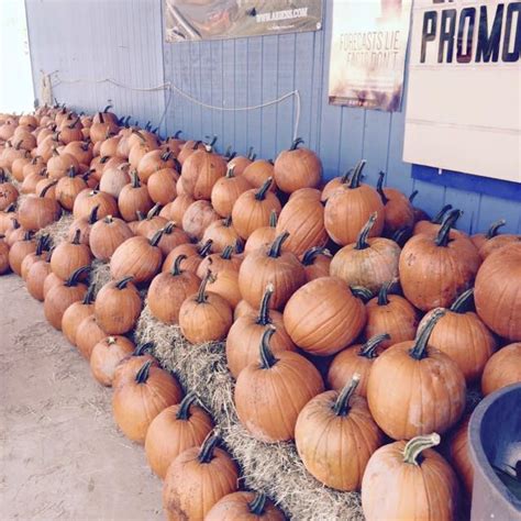 Plummers Ace Hardware Added A Plummers Ace Hardware