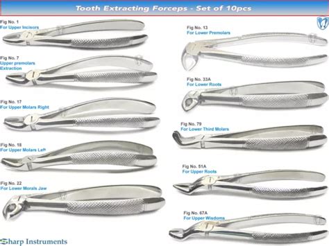 Tooth Extraction Teeth Extracting Forceps Dental Surgical Instruments 29 79 Picclick Ca