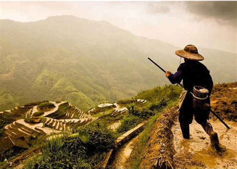 Three Pieces Of Advice For Code Modernization Success Digit