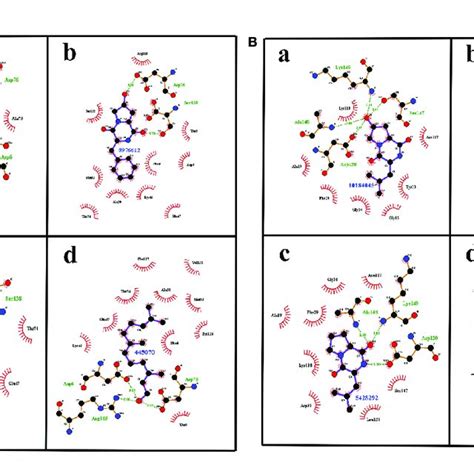 A The Two Dimensional Interaction Image Showcasing The Binding