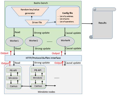 Experimental Structure Download Scientific Diagram