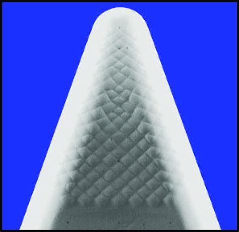 Closeup Of X 33 Ceramic Model With Bowed Panels Download Scientific Diagram