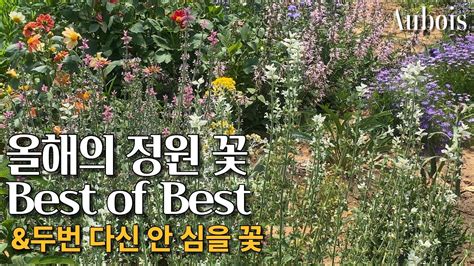 봄부터 서리내릴때 까지 핀 올해의 꽃 Best 한 포기 들여놓으면 군락을 이루는 다년생 꽃 잘 생각하고 심어야 할 식물