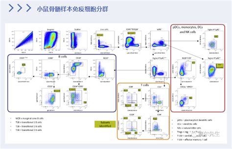 流式分选型细胞仪 湖南大学分析测试中心