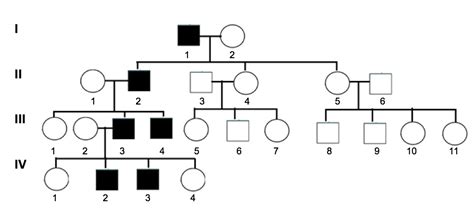 Solved Which Of The Following Is An Example Of Variable