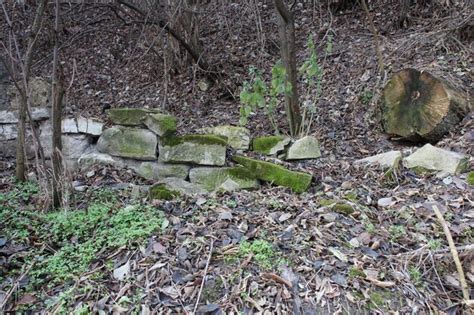 Premium Photo A Small Stream In The Woods