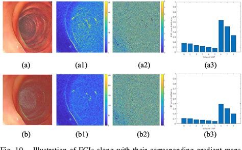 Figure 10 From Blind Quality Evaluator For Enhanced Colonoscopy Images