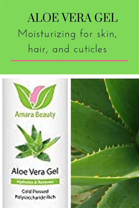 Where Could Be Found Dahon Ng Bayabas