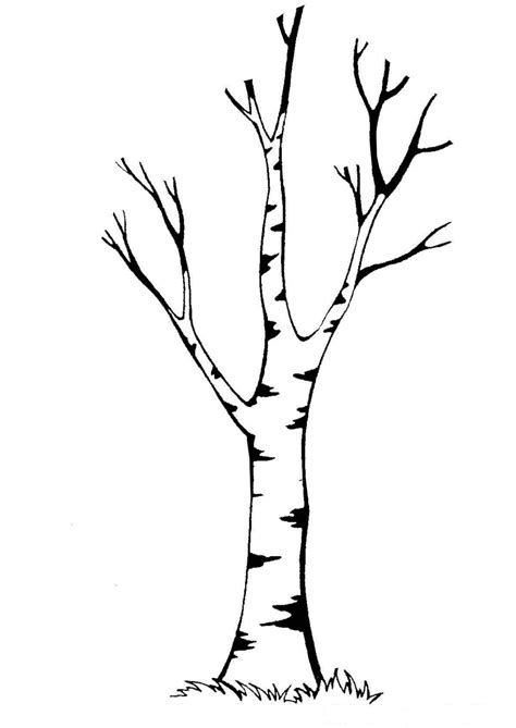 10 Best Large Printable Tree Pattern Artofit