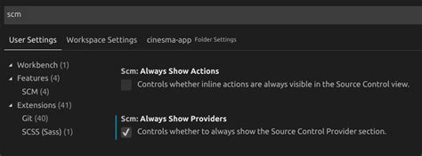 Visual Studio Code How To Turn Onoff The Source Control Providers