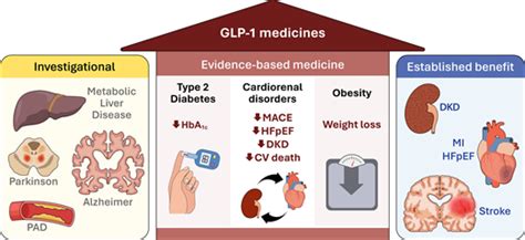 Efficacy And Safety Of Glp 1 Medicines For Type 2 Diabetes And Obesity