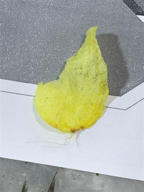 Lays Cips İçinde İp Çıktı Şikayetvar