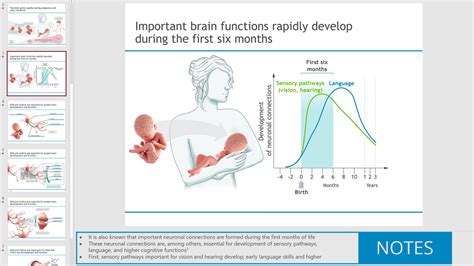 Develop An Engaging Training Deck Based On Different Input Materials