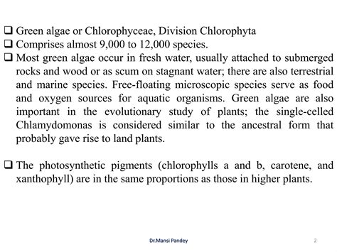 Vegetative Structure Chlorophyceaepptx