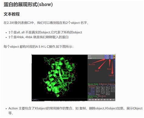 搭配pdb使用pymol蛋白pdb格式怎么下载 Csdn博客