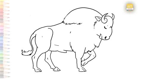 Bison Easy Outline Sketches Wild Animal Drawings How To Draw A