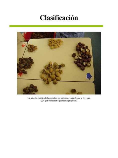 Actividades Clasificacion Pdf Color